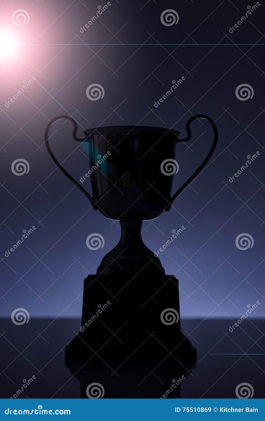 Vintage Trophy stock image. Image of retro, polished - 75510869