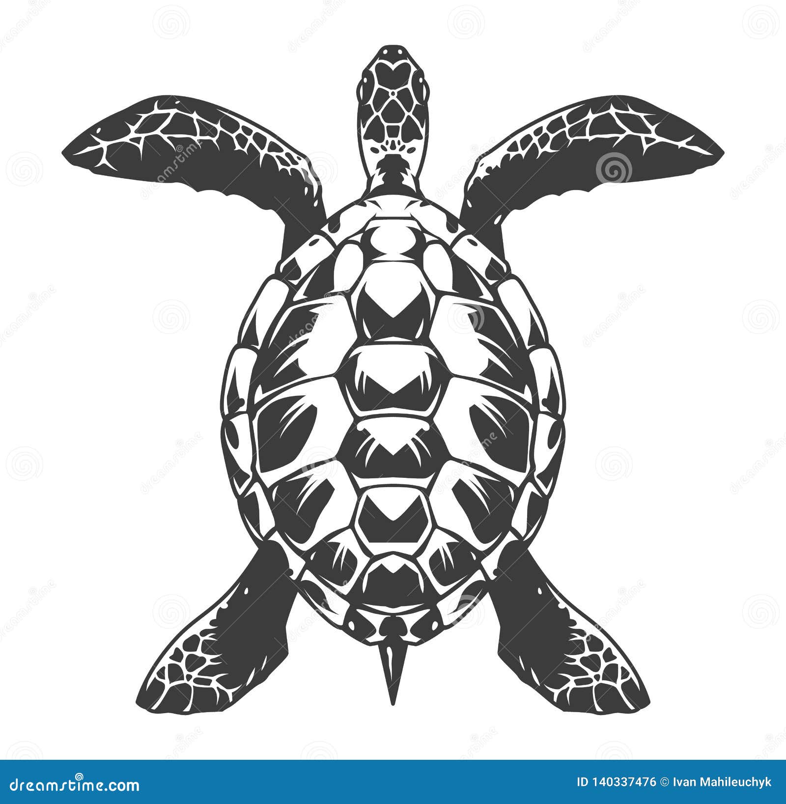 Sea Turtle Drawing Top View