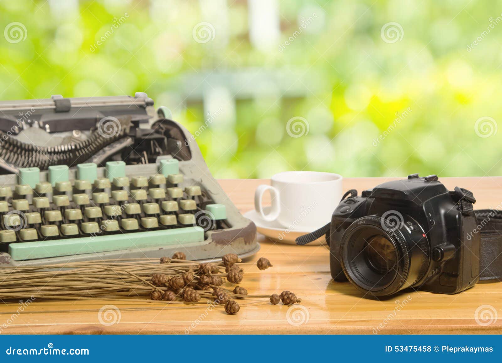 391 Vintage Outdoor Typewriter Stock Photos - Free & Royalty-Free Stock ...