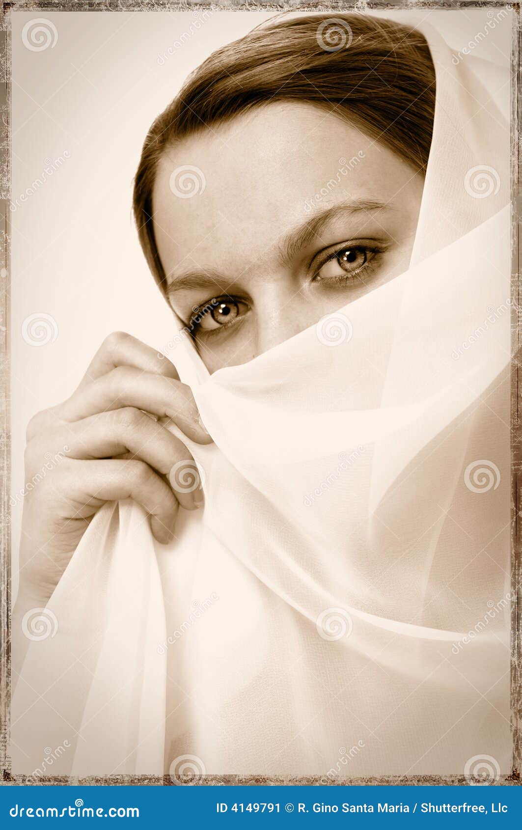 Vintage Veil Face stock image. Image of look, beauty, portrait - 4149791