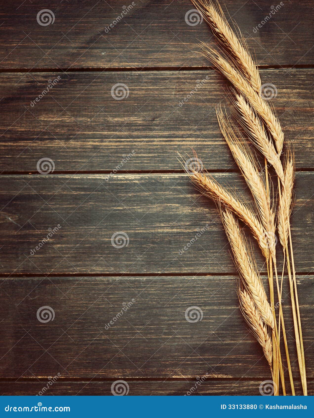 Vintage wheat background stock photo. Image of barley - 33133880
