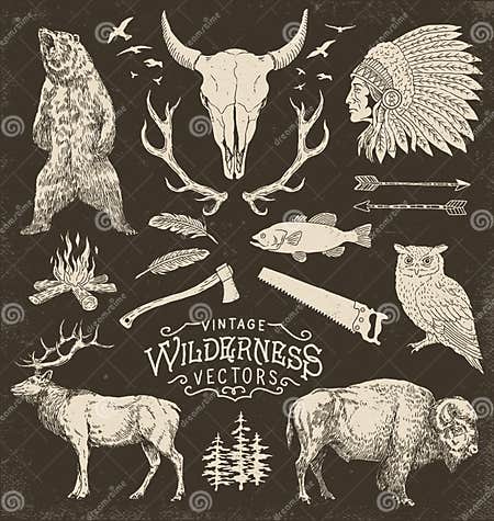 Vintage Wilderness Vector Illustration Set Stock Vector - Illustration ...