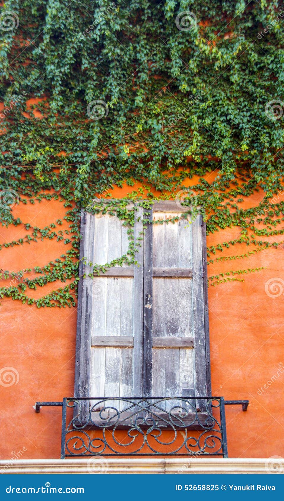 Vintage window with ivy stock image. Image of balcony - 52658825