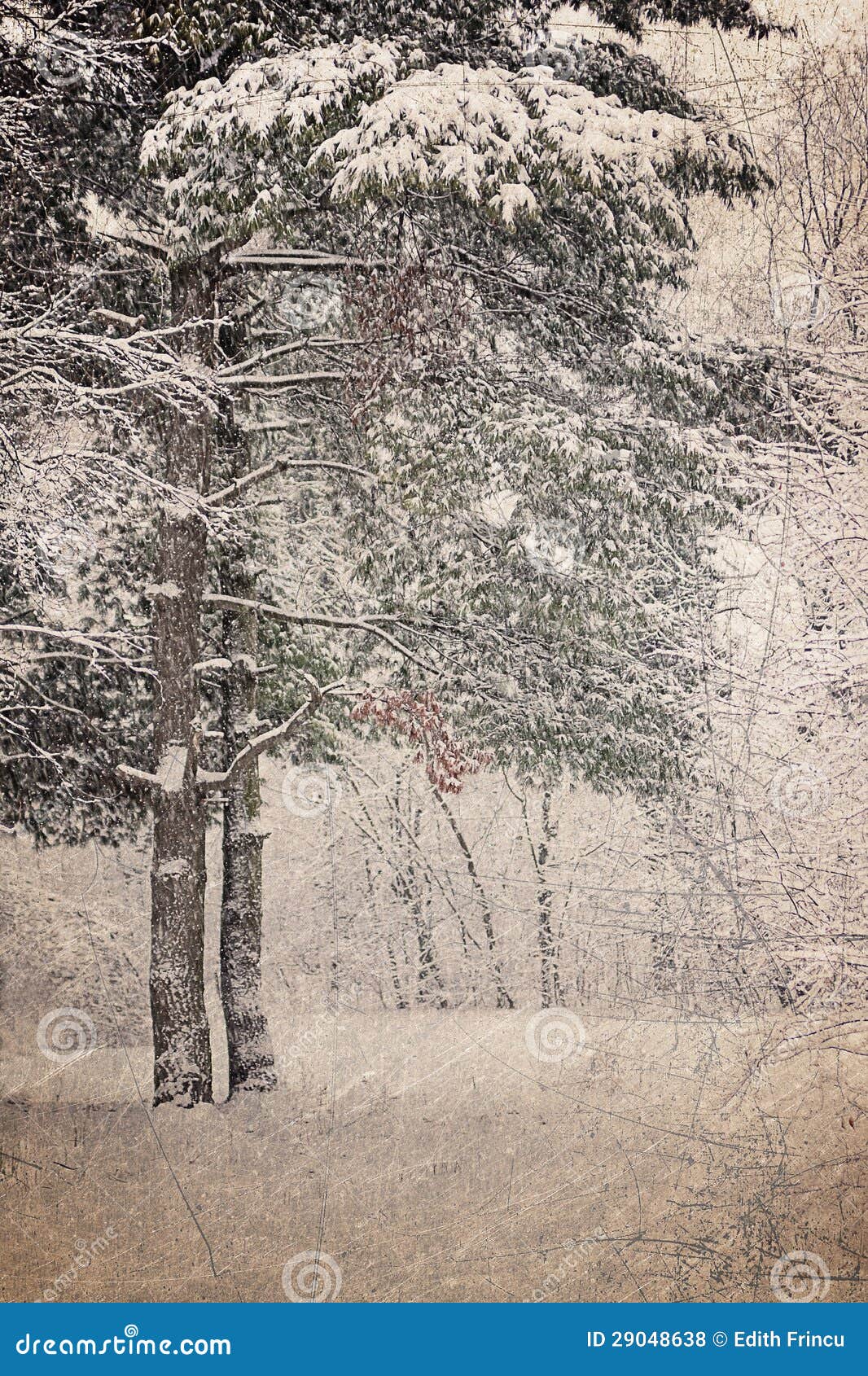 Vintage winter landscape stock photo. Image of blue, bare - 29048638