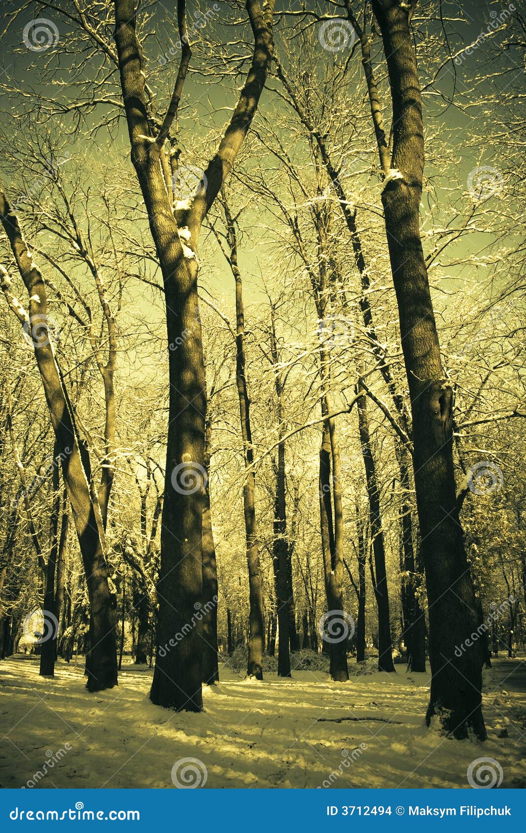 Vintage winter landscape stock photo. Image of park, scene - 3712494