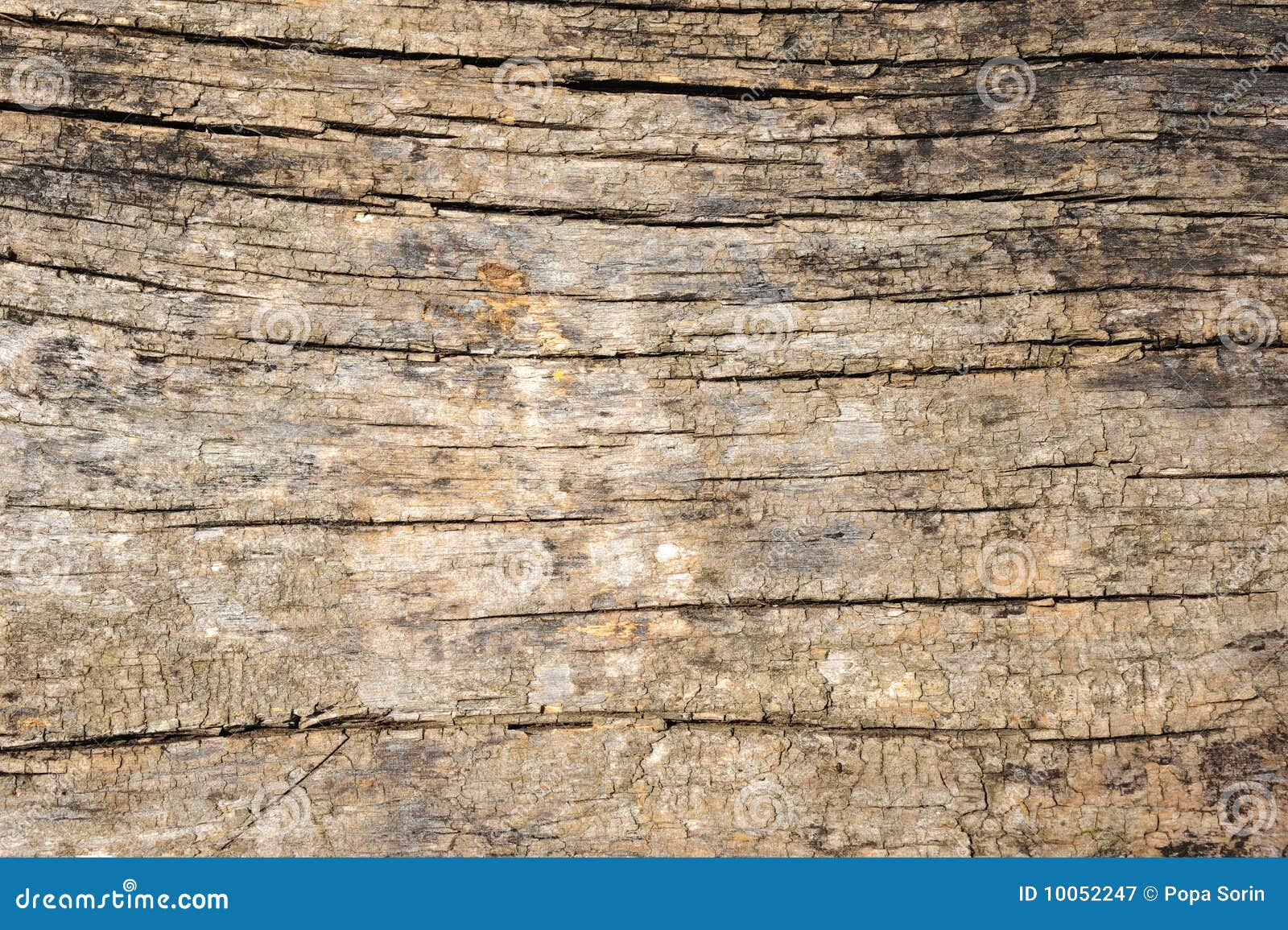 Vintage wood background stock image. Image of build, style - 10052247