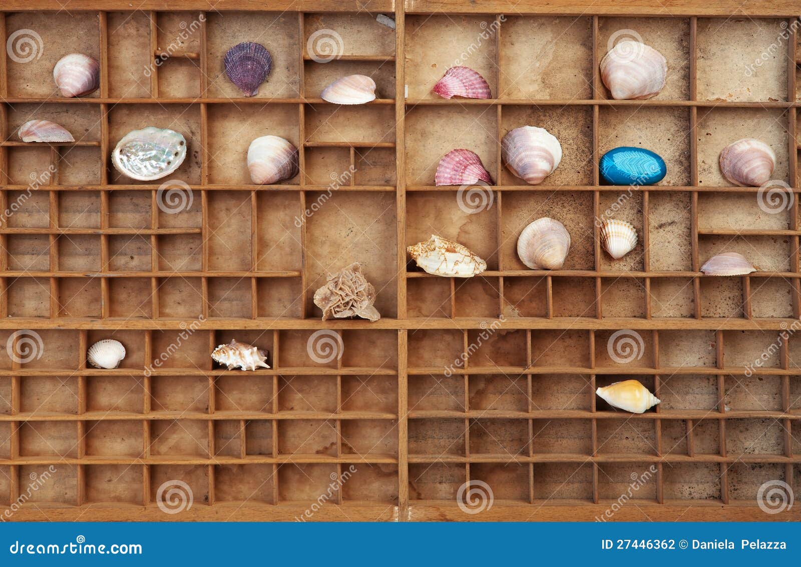 Vintage Wood Typesetter Case with Shells Stock Photo - Image of africa ...