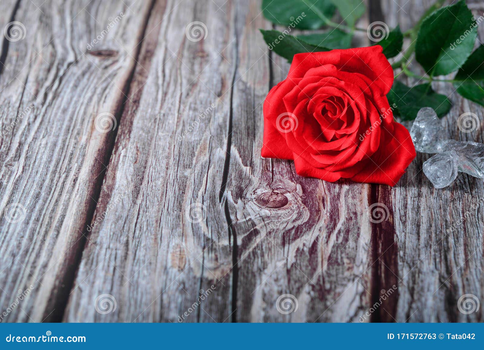 Red Rose On A Rustic Ledge Stock Photo | CartoonDealer.com #88777326