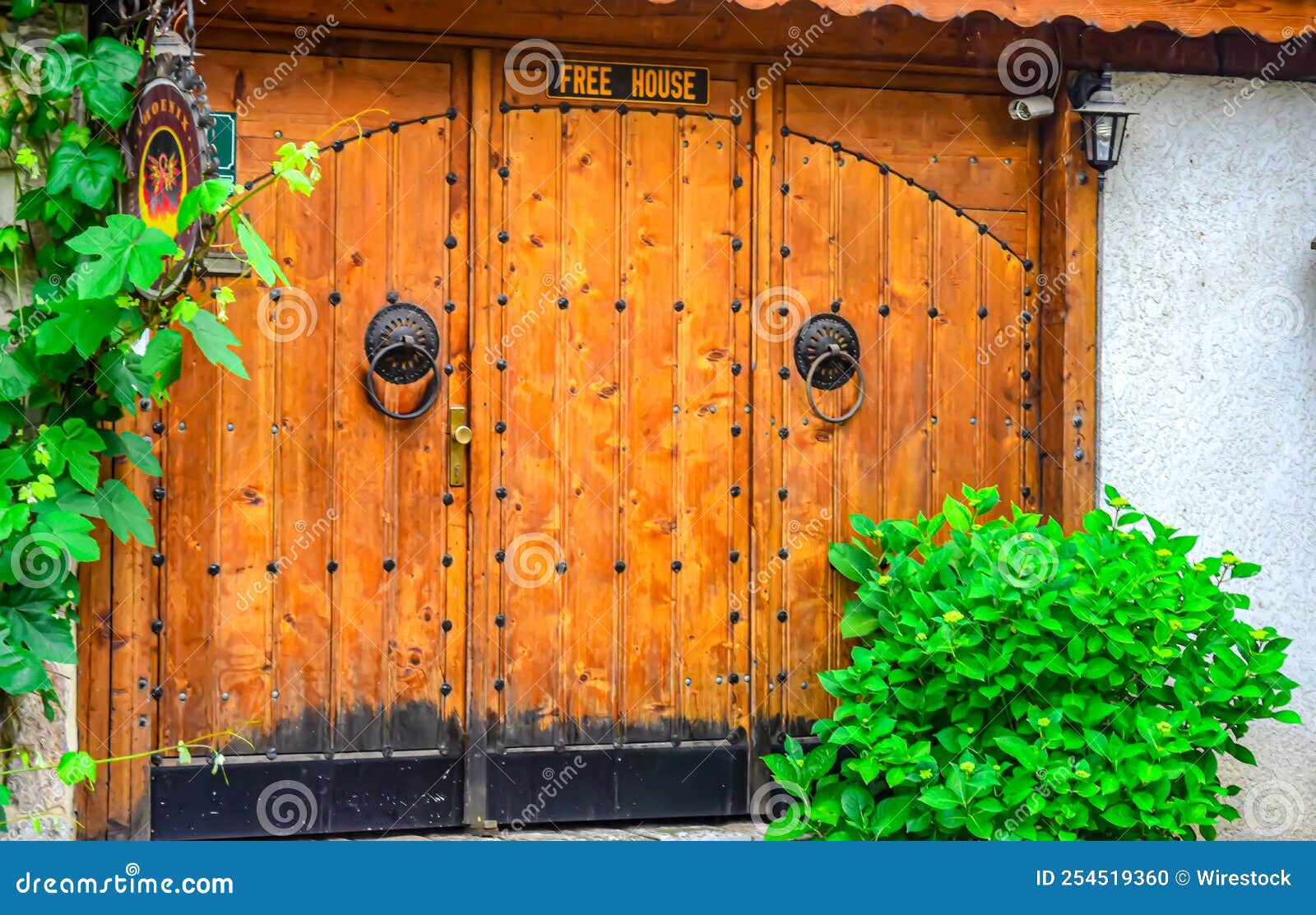 Vintage Wooden Door with Greenery in Front of it Stock Photo - Image of ...