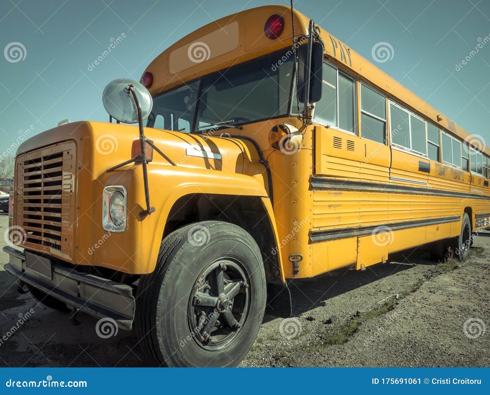 Vintage School Bus Images