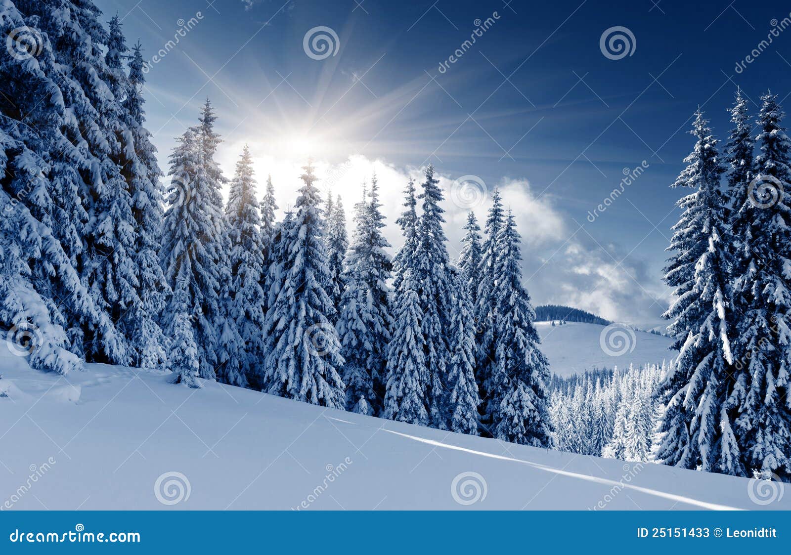 Vinter fotografering för bildbyråer. Bild av snö, klimat - 25151433