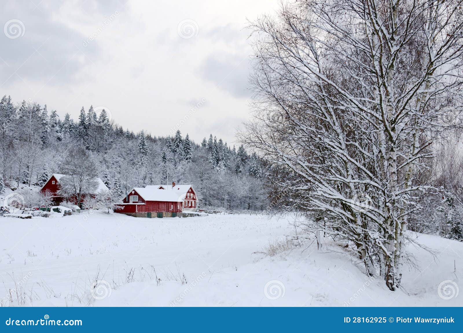 Vinter i sydliga Sverige fotografering för bildbyråer. Bild av ...