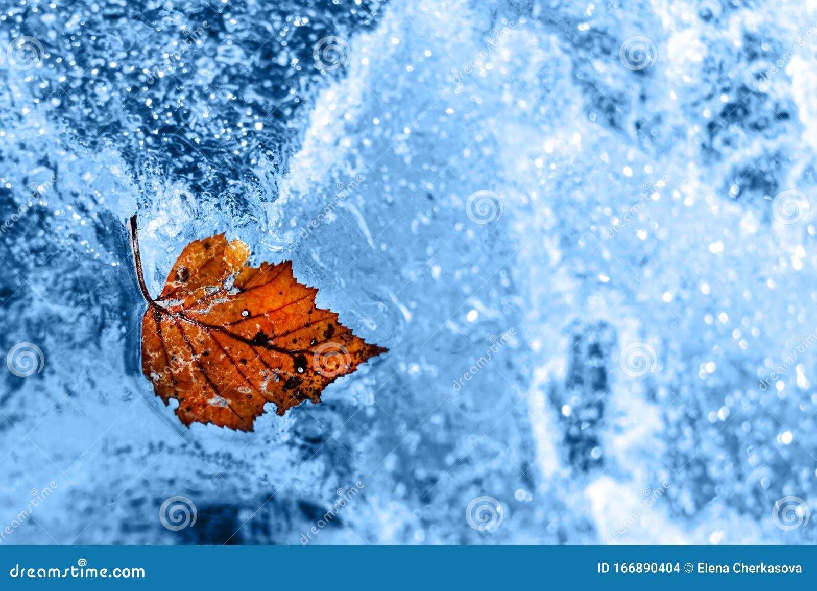 Vinter Monochrome Blue Ice Texture Background with Frozen Yellow Leaf ...