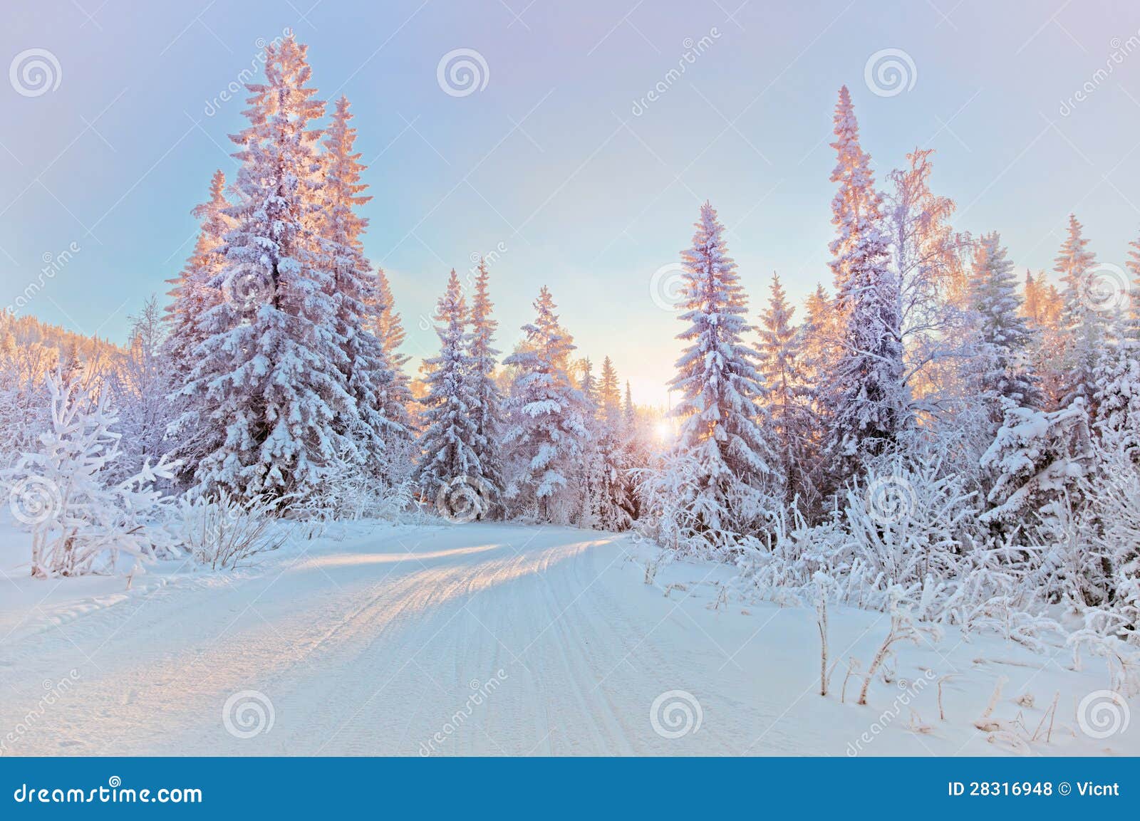 Vintern landskap arkivfoto. Bild av majestätiskt, färg - 28316948