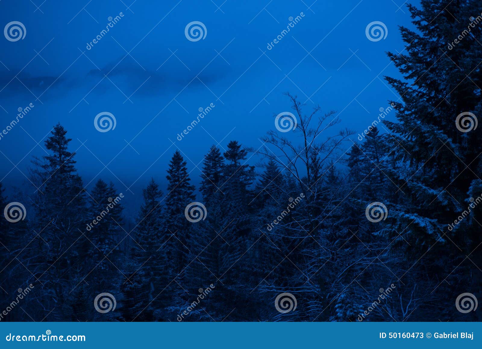 Vinternatt i bergen fotografering för bildbyråer. Bild av träd - 50160473