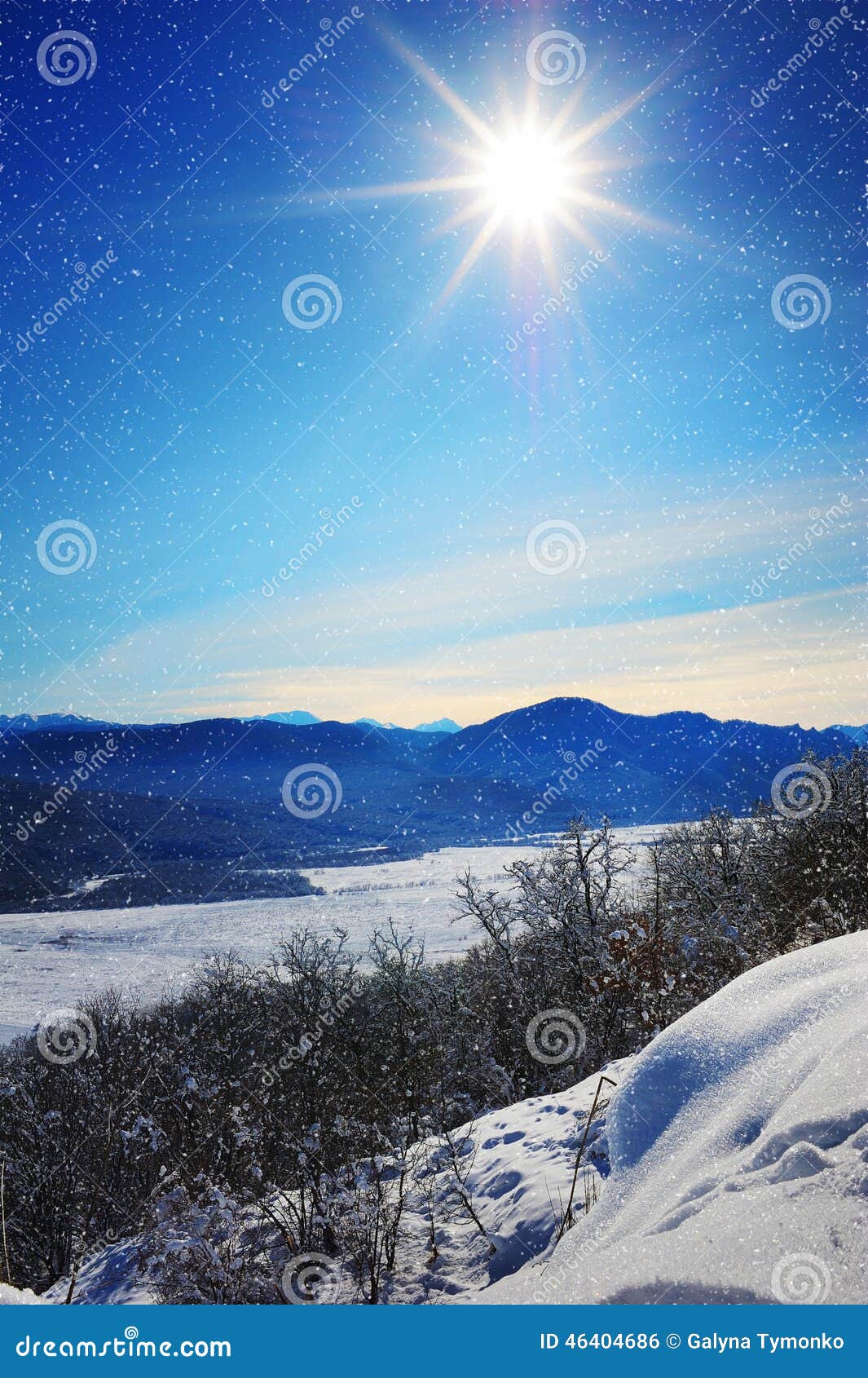 Vinterskog, frost och sol arkivfoto. Bild av miljö, snöfall - 46404686