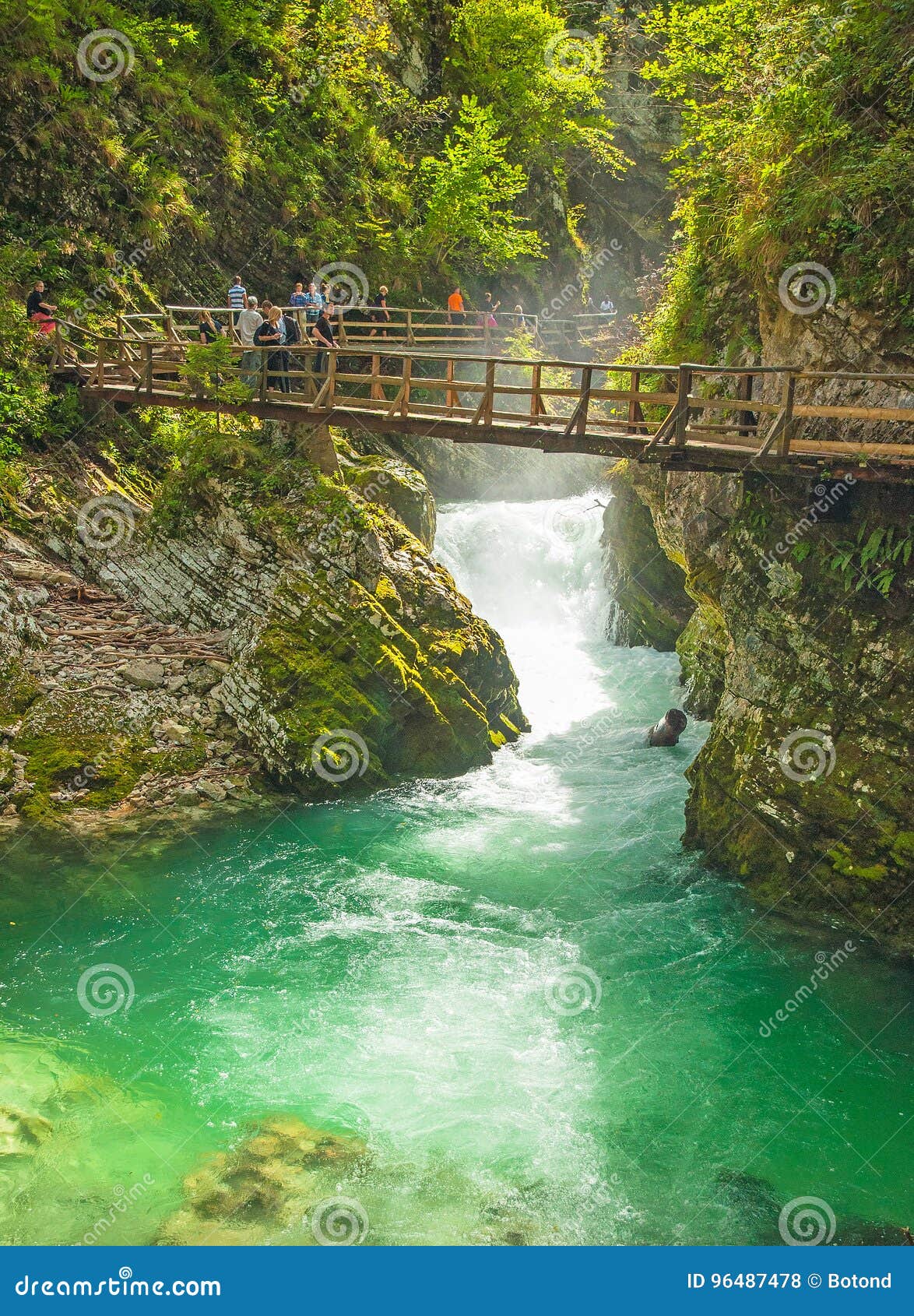 Vintgar Gorge at Bled, Slovenia Editorial Stock Photo - Image of ...