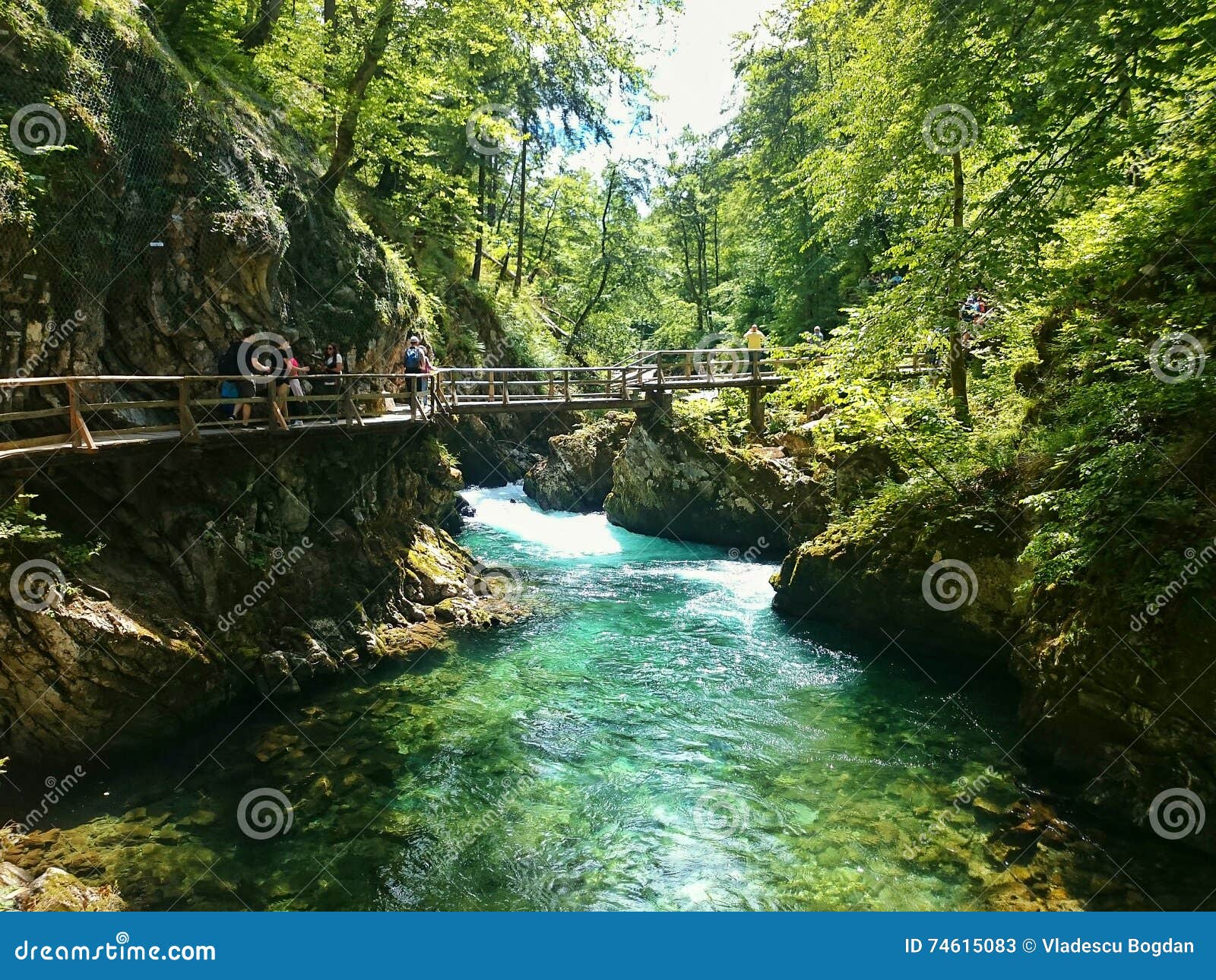 Vintgar Gorge stock image. Image of radovna, gorge, vintgar - 74615083