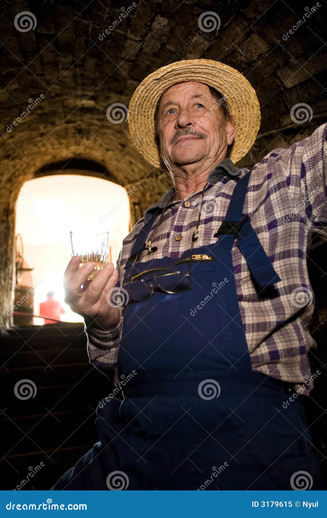 Vintner stock image. Image of vintner, agriculture, taste - 3179615