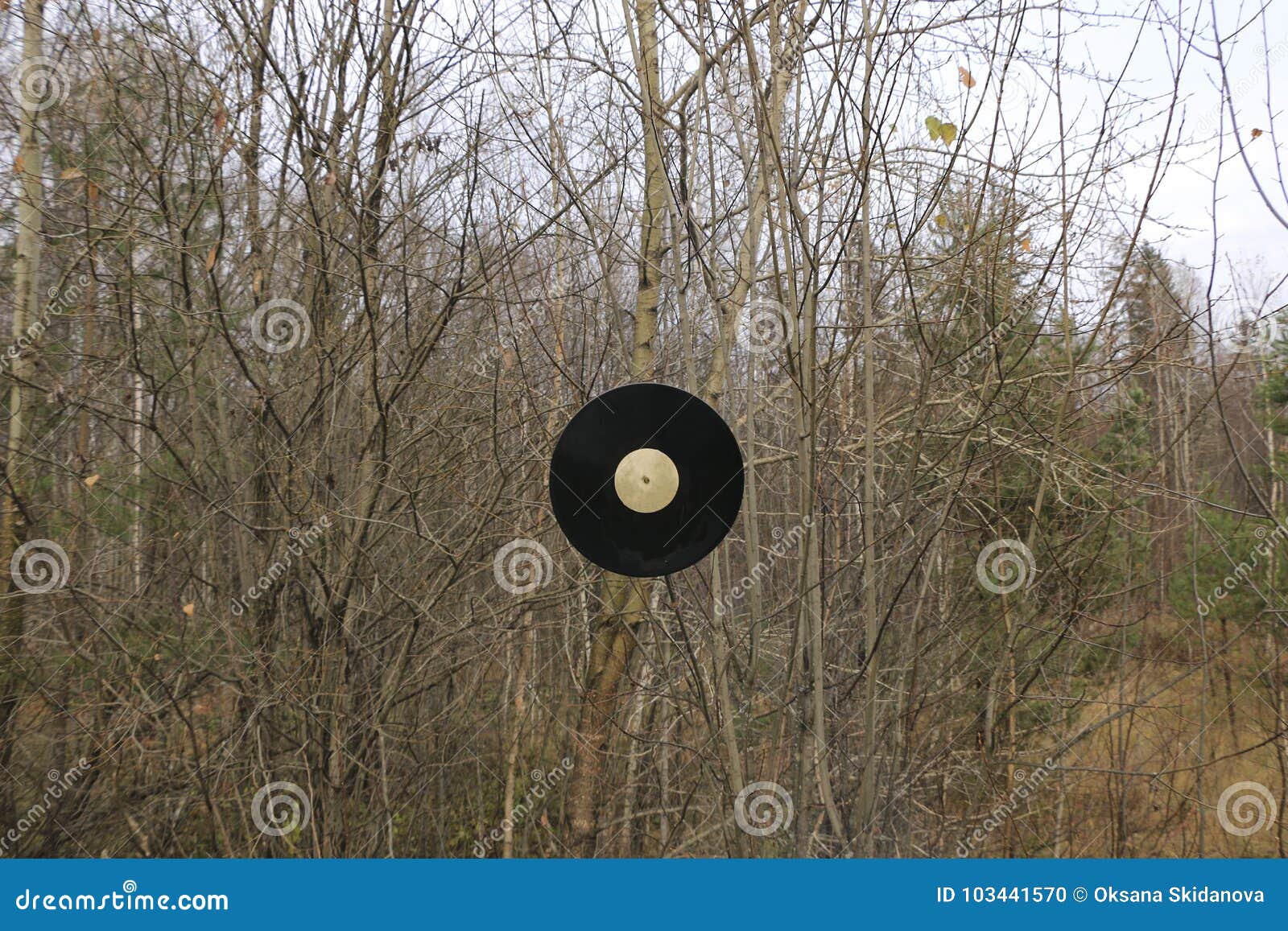 Vinyl Record Burns Bright Orange Flame on the Asphalt Stock Photo ...