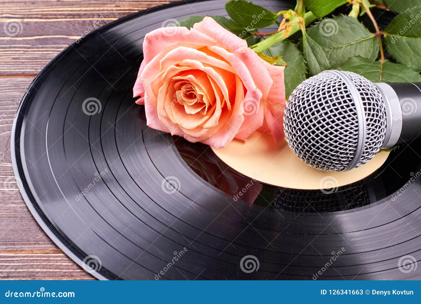 Vinyl Record with Microphone and Rose. Stock Image - Image of plastic ...
