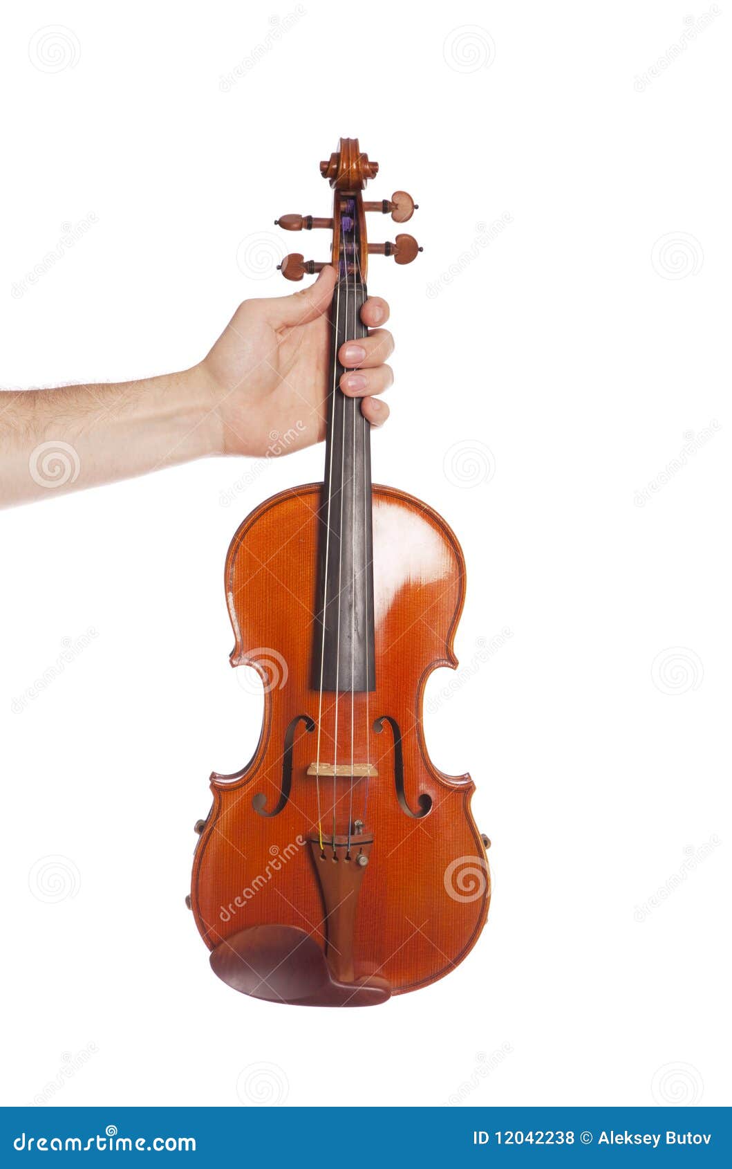Viola stock photo. Image of arts, viola, classical, music - 12042238