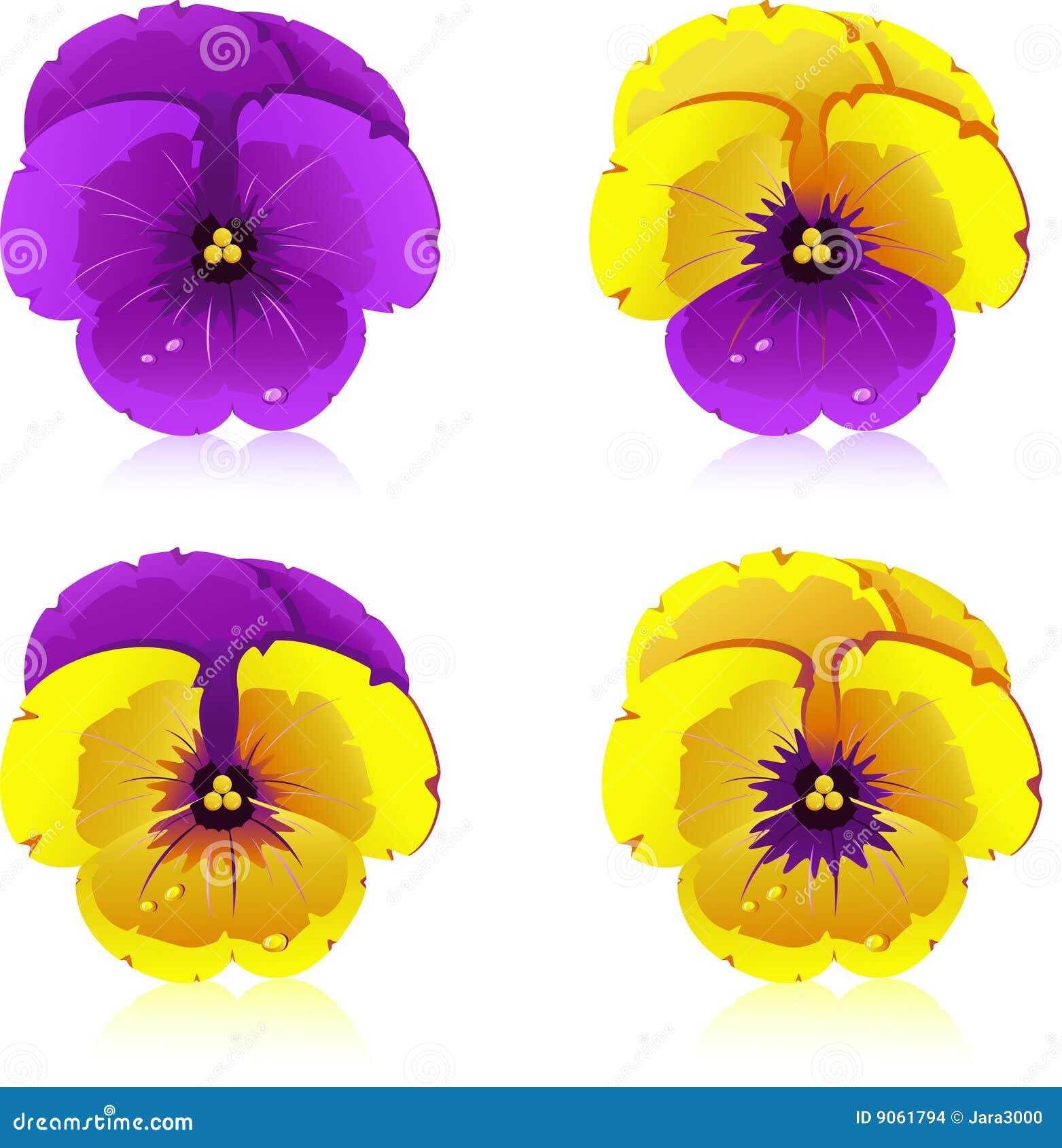 Viola stock vector. Illustration of spring, garden, flowers - 9061794