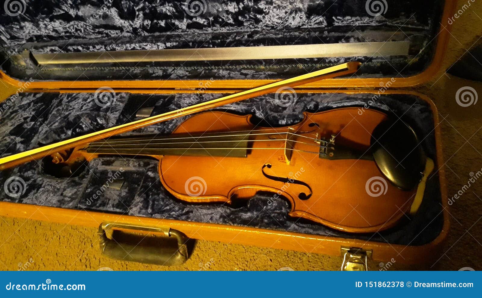 Viola stock photo. Image of band, beautiful, music, viola - 151862378