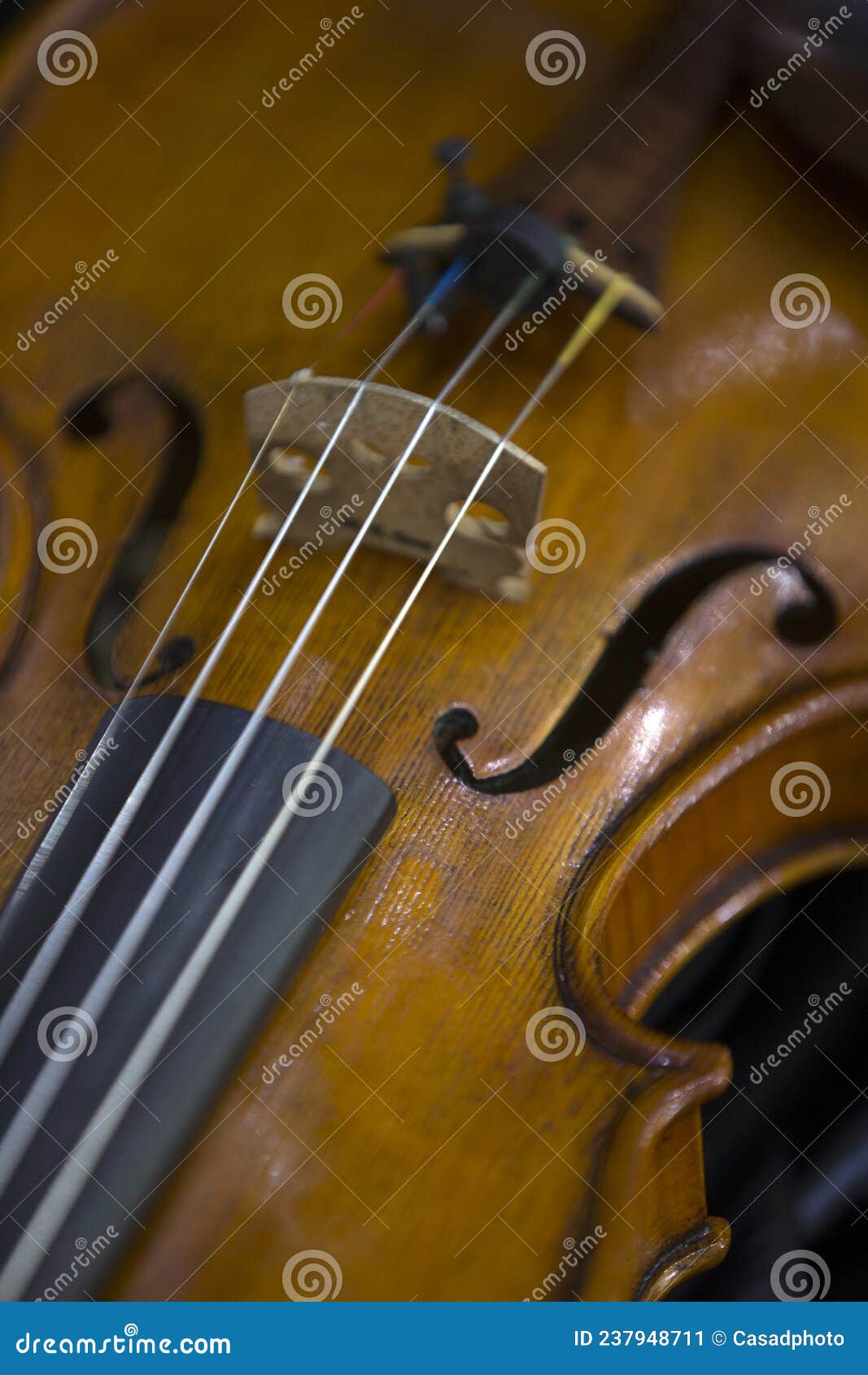Viola stock image. Image of concert, interpreter, sound - 237948711