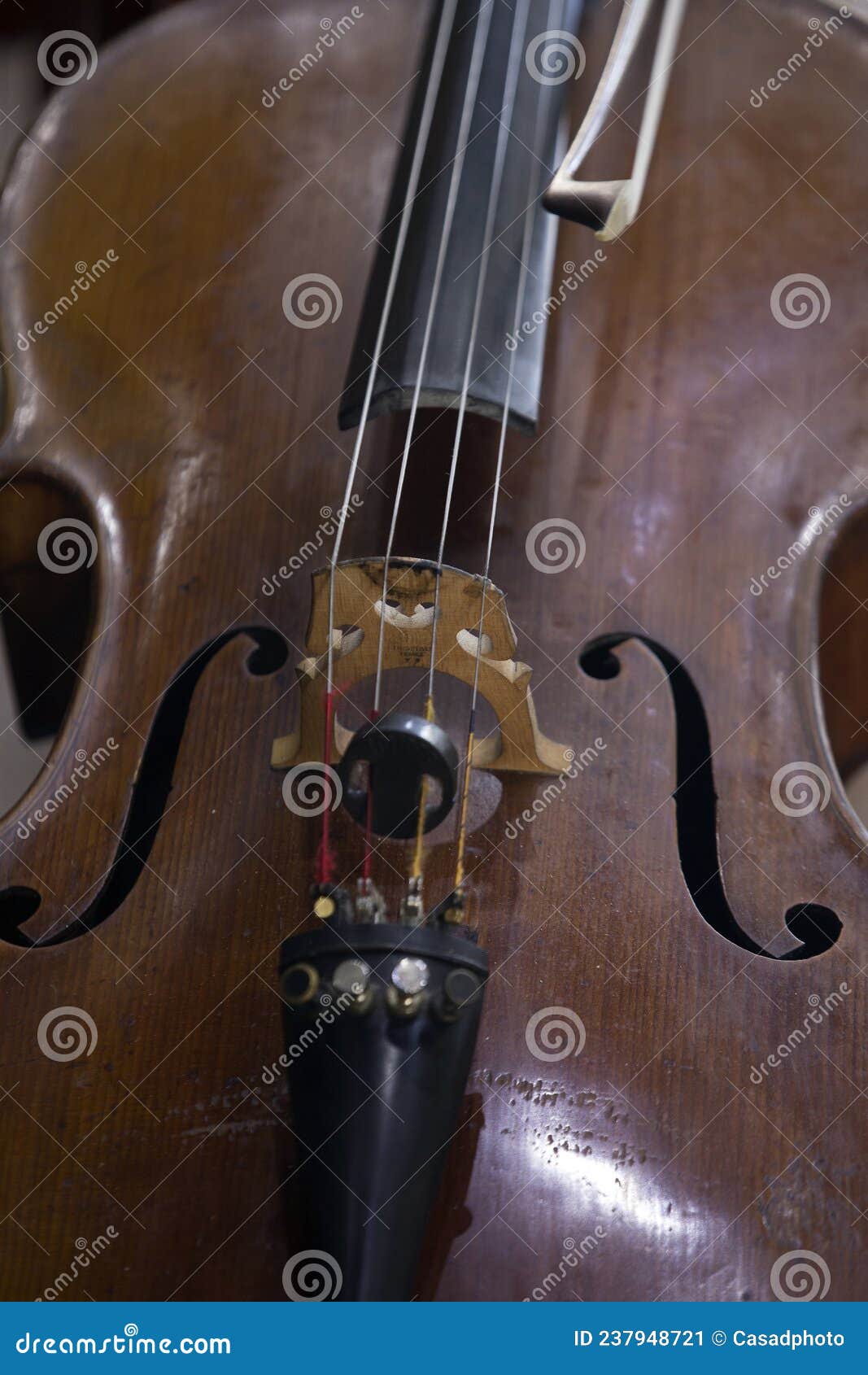 Viola stock image. Image of classic, compass, interpreter - 237948721