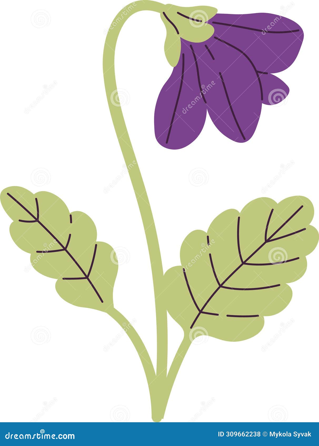 Viola Flower with Leaves stock vector. Illustration of spring - 309662238