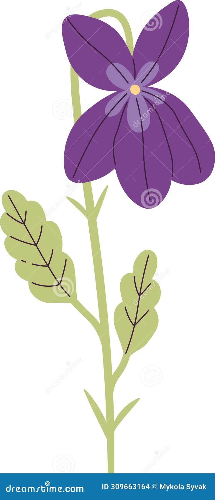 Viola Flower with Leaves stock vector. Illustration of background ...