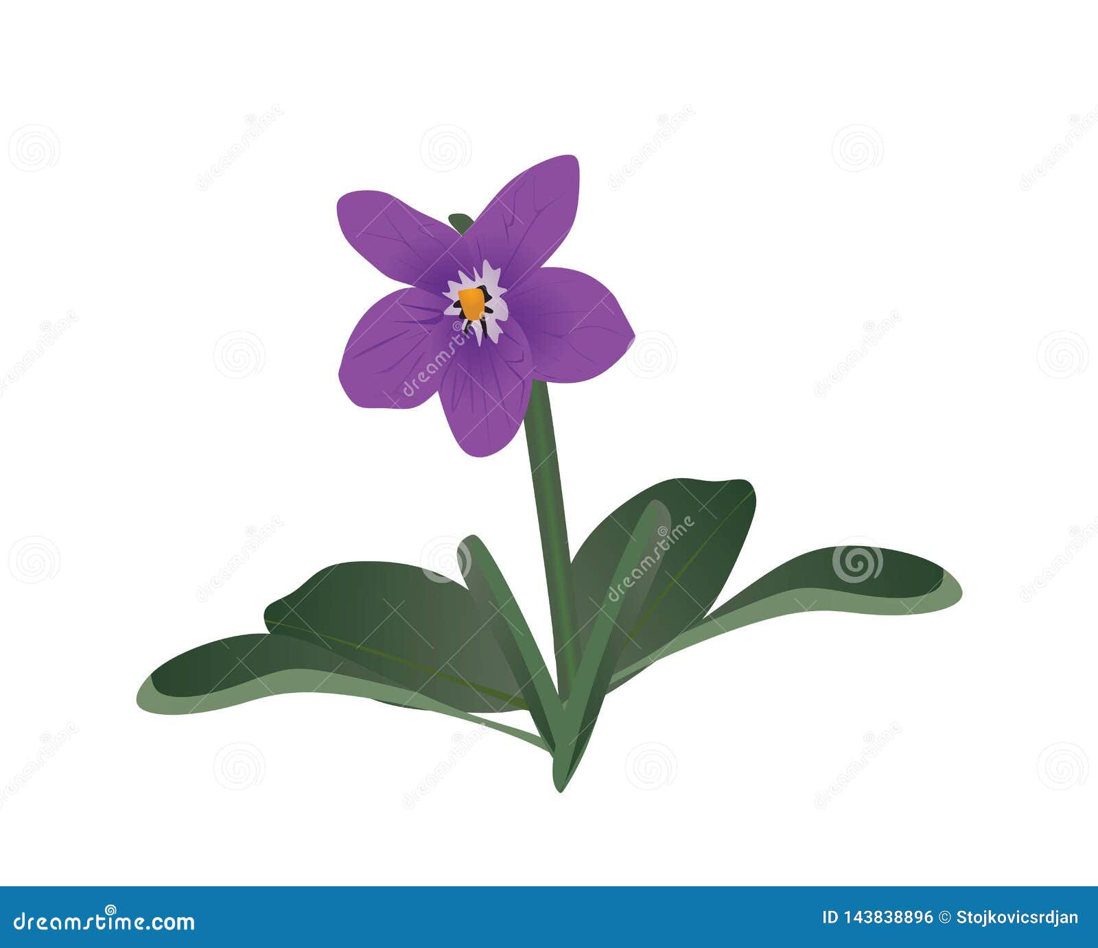 Viola Flower, Cartoon Style. Trendy Modern Vector Illustration Isolated ...