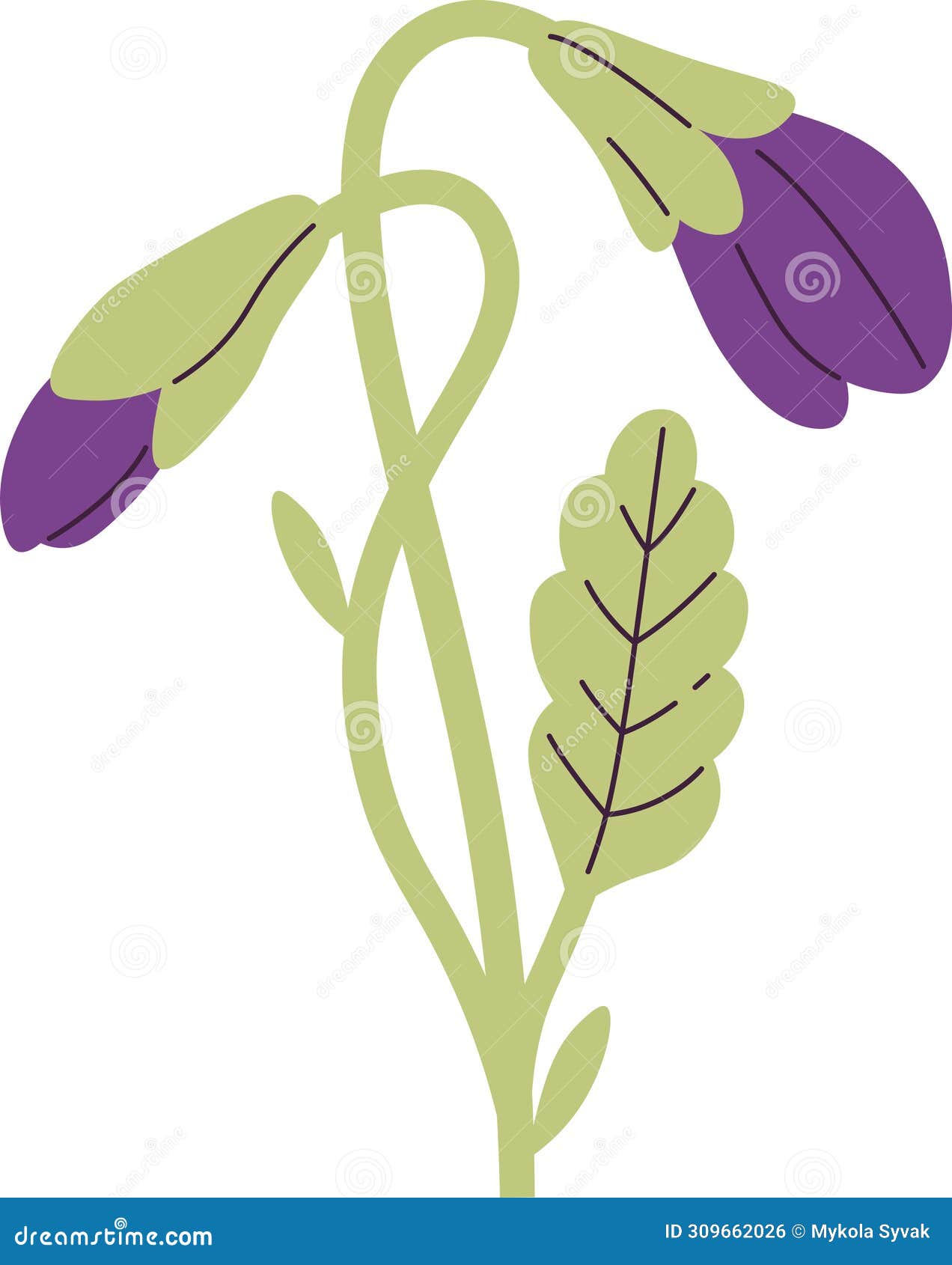 Viola Flowers with Leaves stock vector. Illustration of plant - 309662026