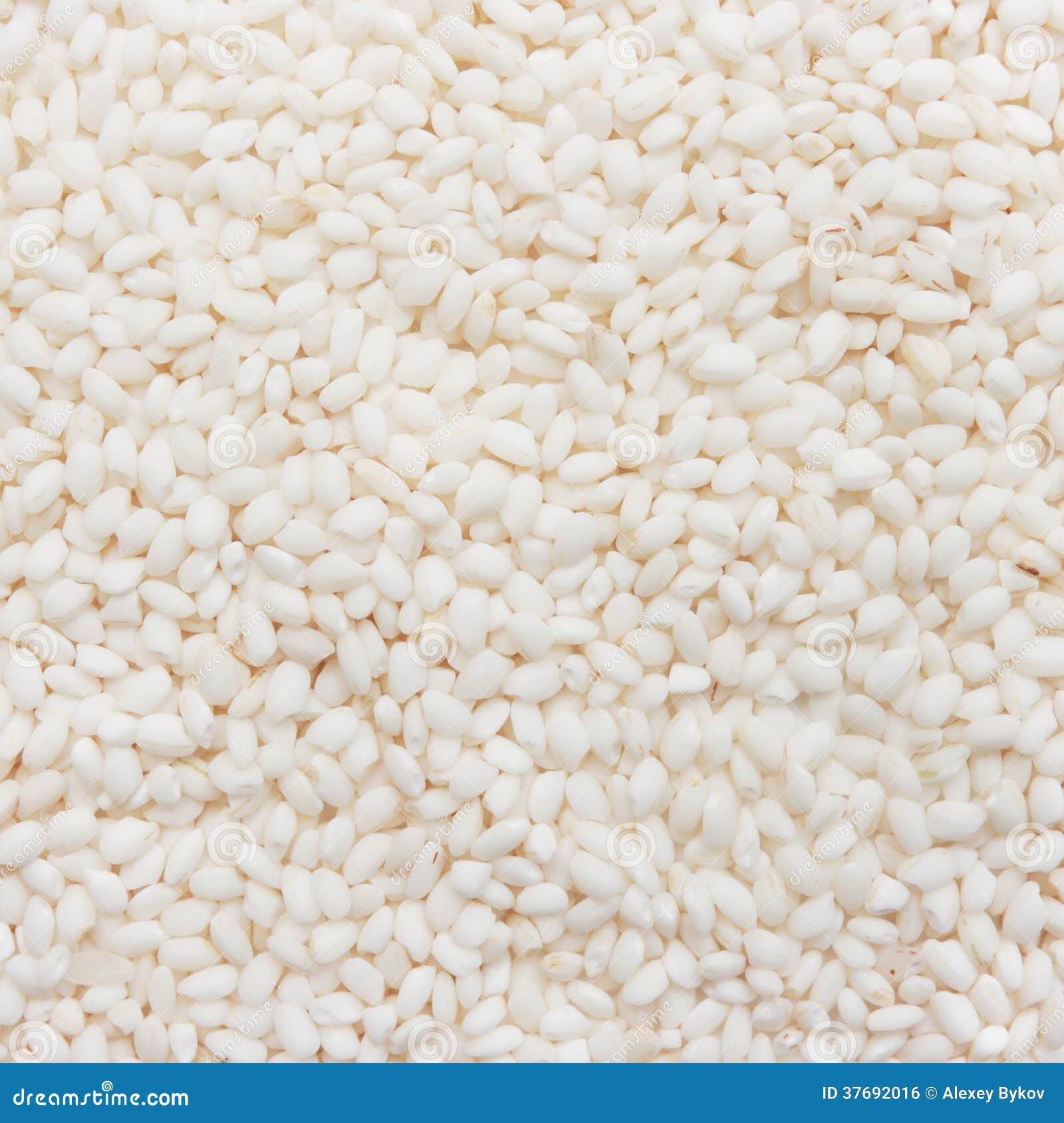 Viola rice from Italy. stock photo. Image of food, white - 37692016