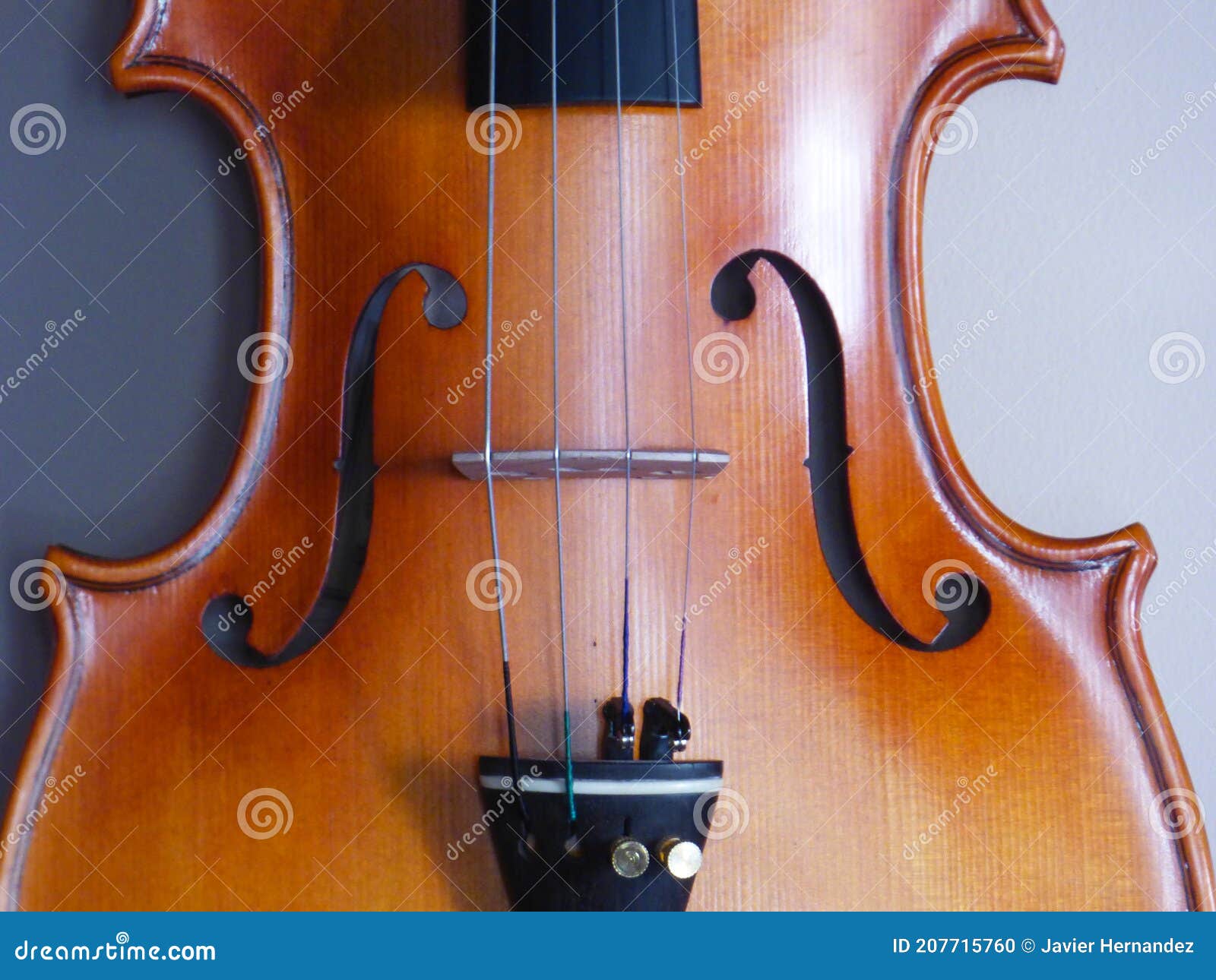 Details With The Scroll Peg Box Tuning Pegs Strings Neck And Fingerboard Of A Violin Before