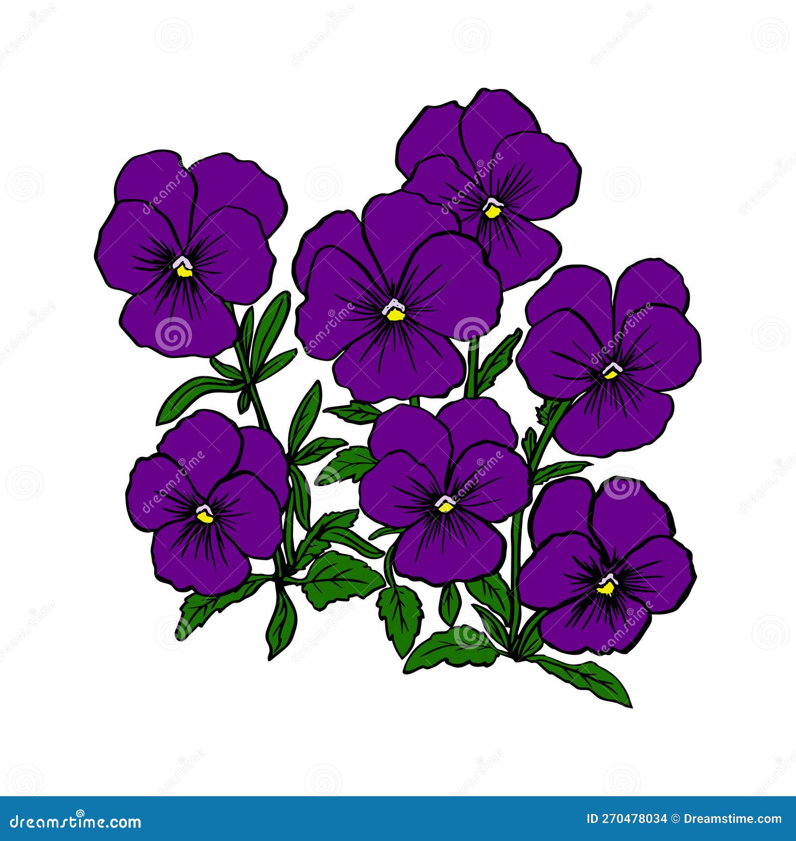 Viola Sketch. Violet Lflowers on White Background Stock Vector ...