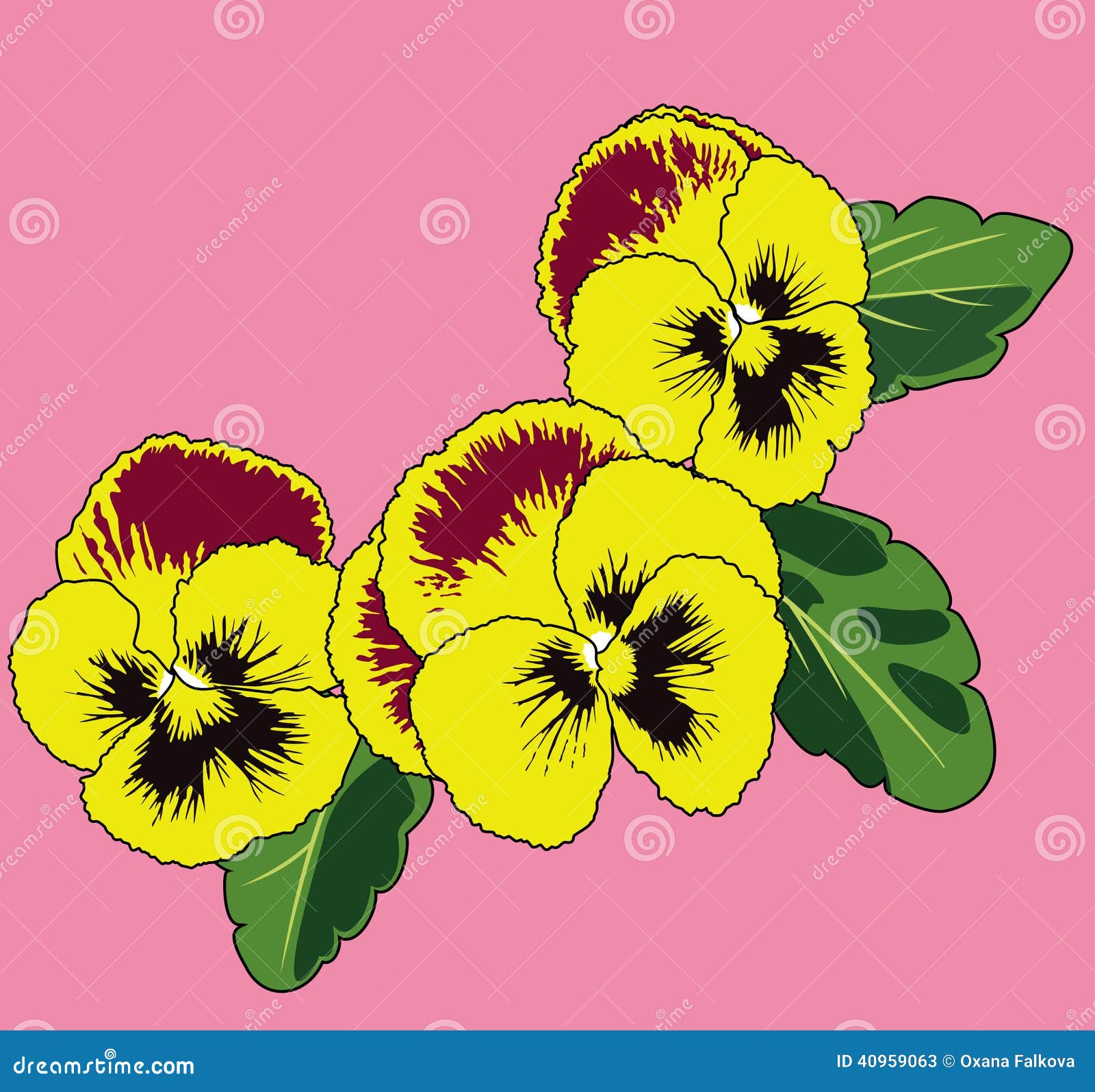 Viola Tricolor Wild Pansy Flower. Hand Drawn Black Outline Vector Image ...