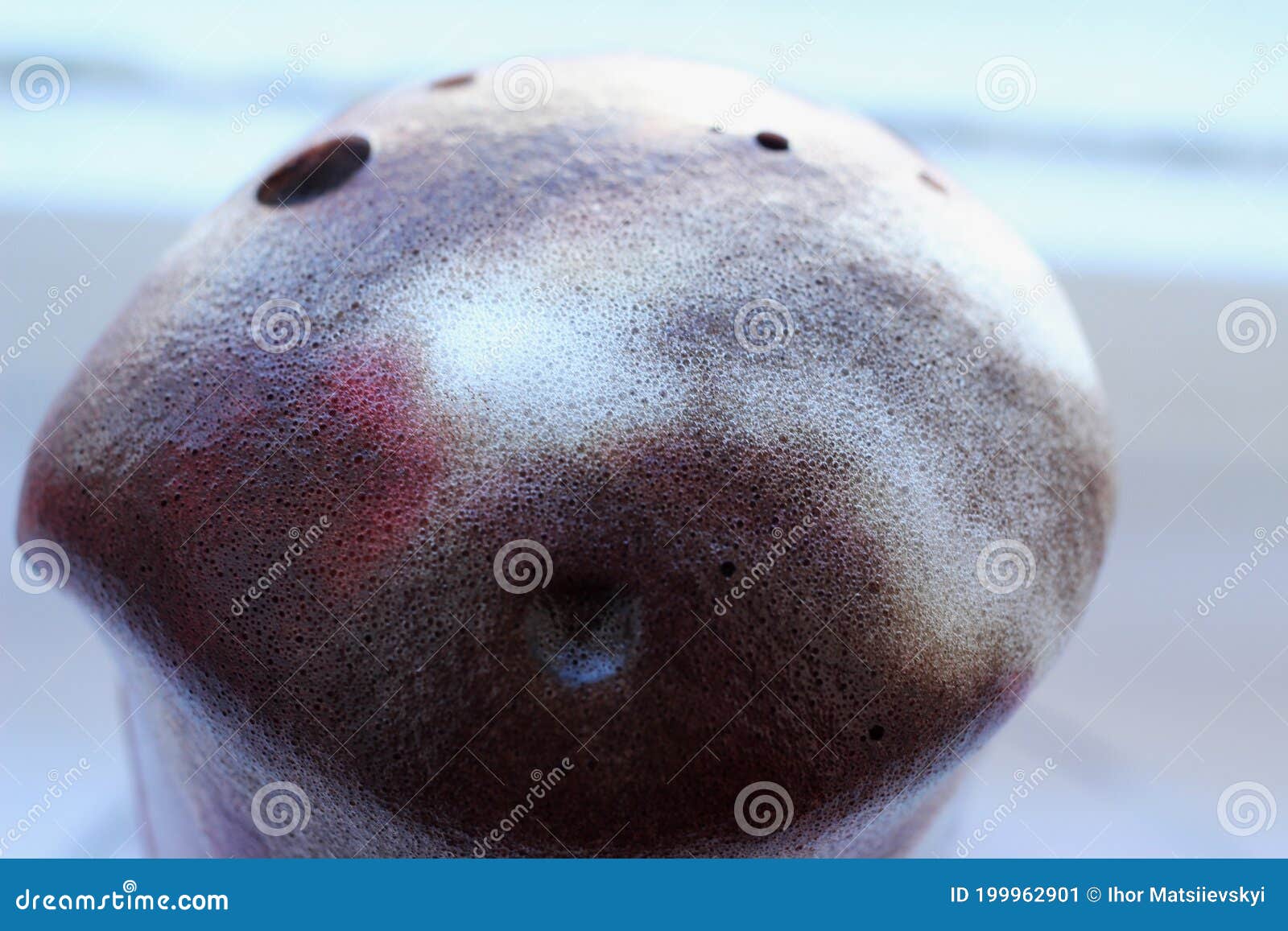 Violent Chemical Reaction with the Release of a Large Volume of Foam on ...