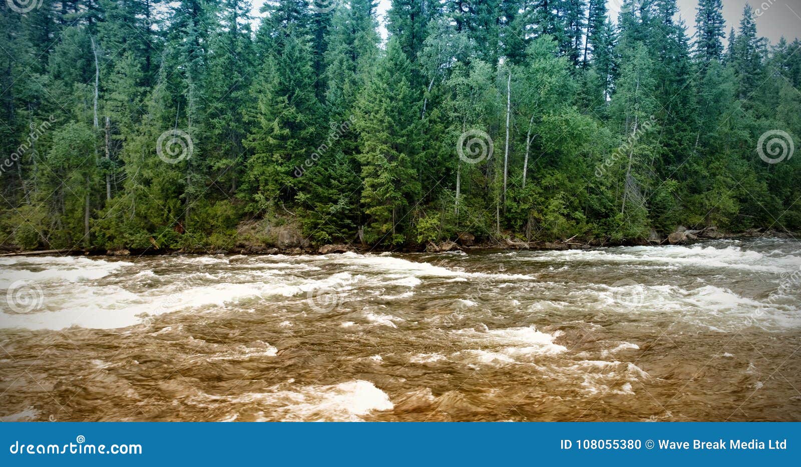 Violent river in forest stock photo. Image of large - 108055380
