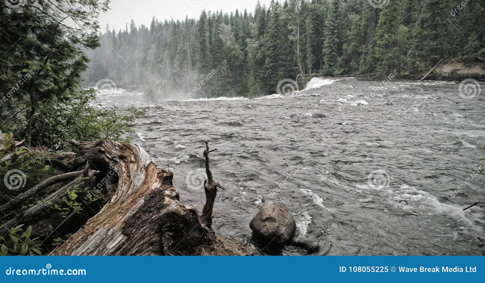 Violent River in Forest Then Waterfall Stock Image - Image of ...