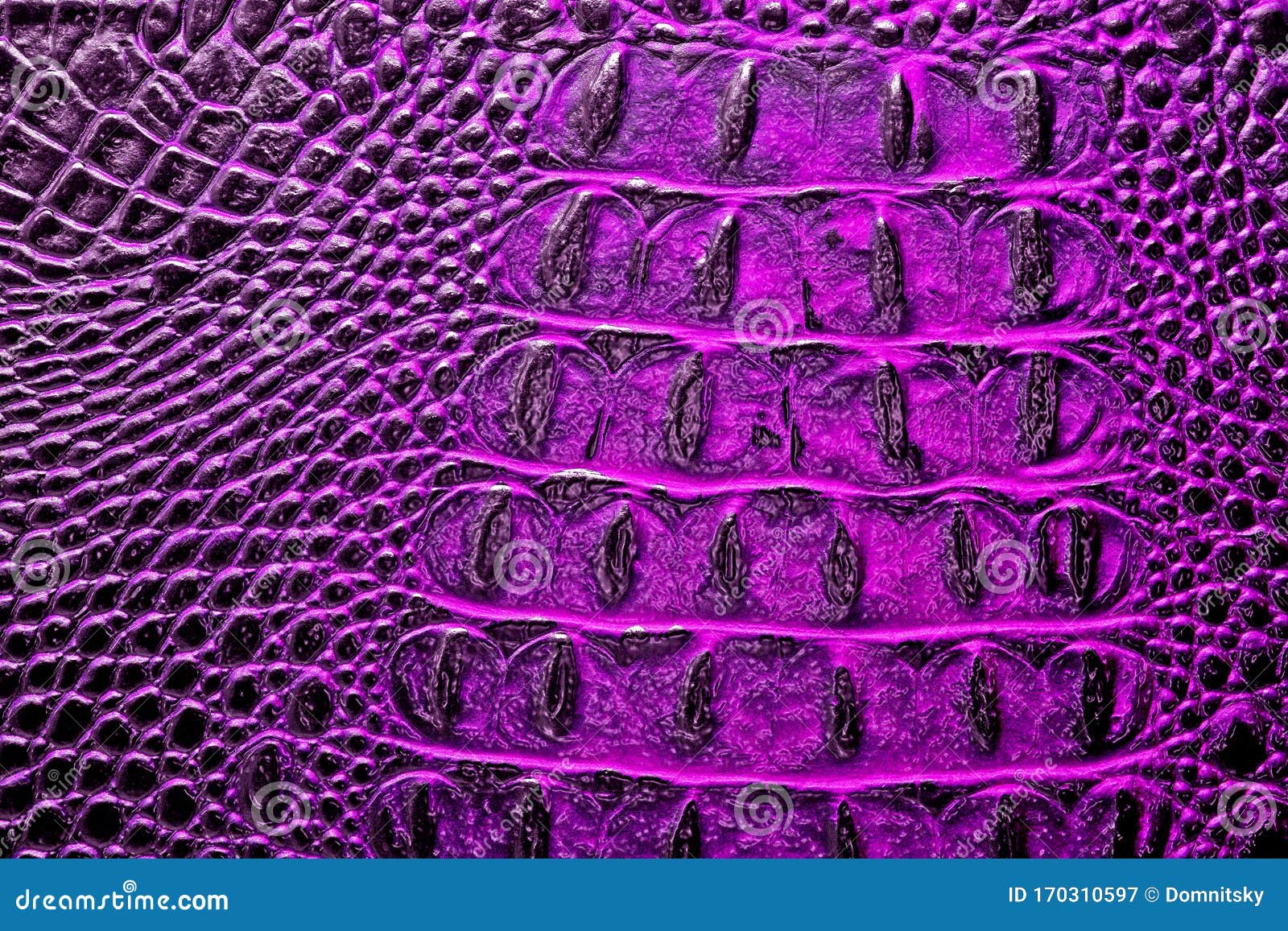 Violet Alligator Patterned Background Stock Image - Image of design ...