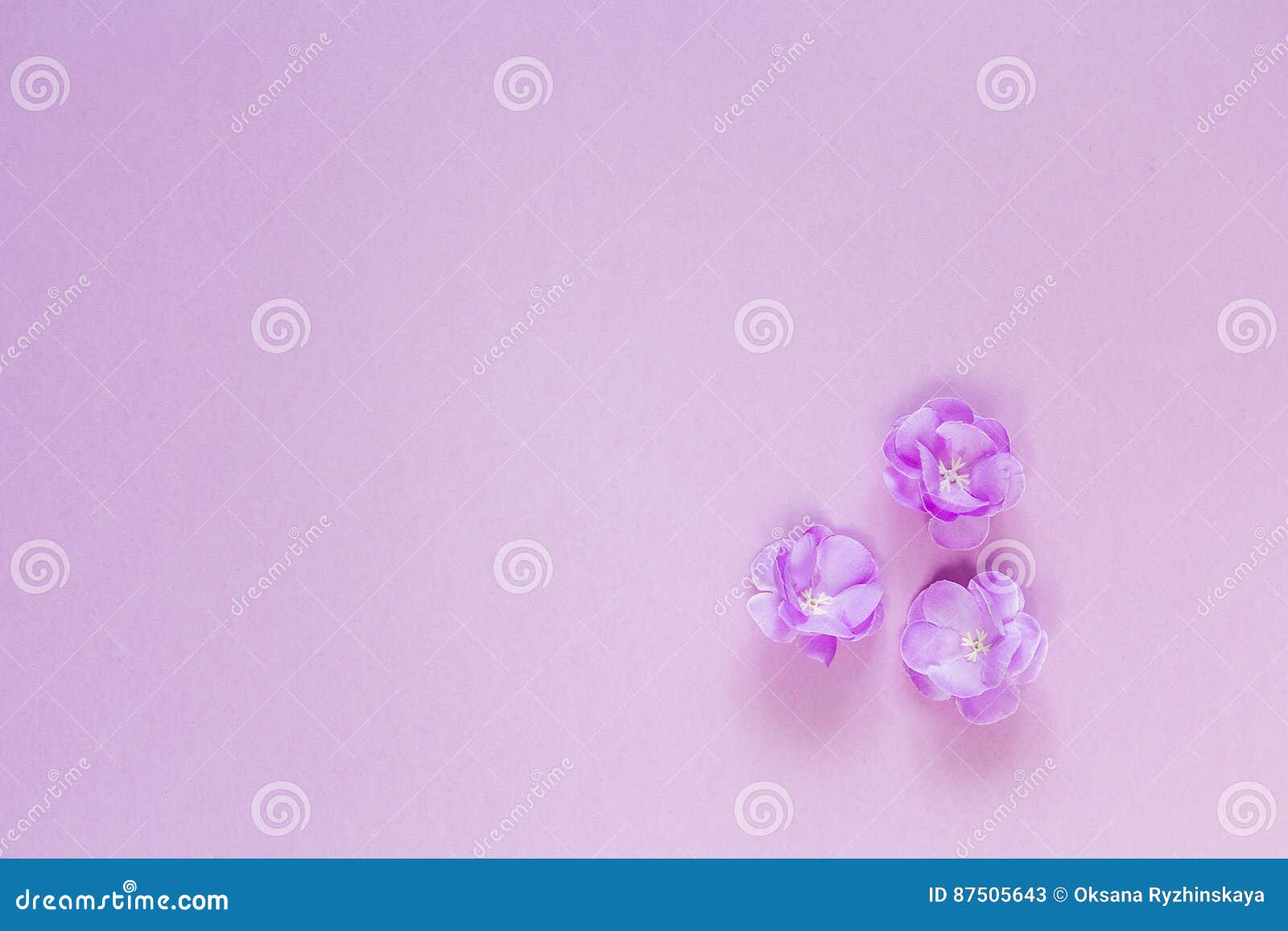 Violet Background with Purple Flowers. Space for Text. Stock Image ...