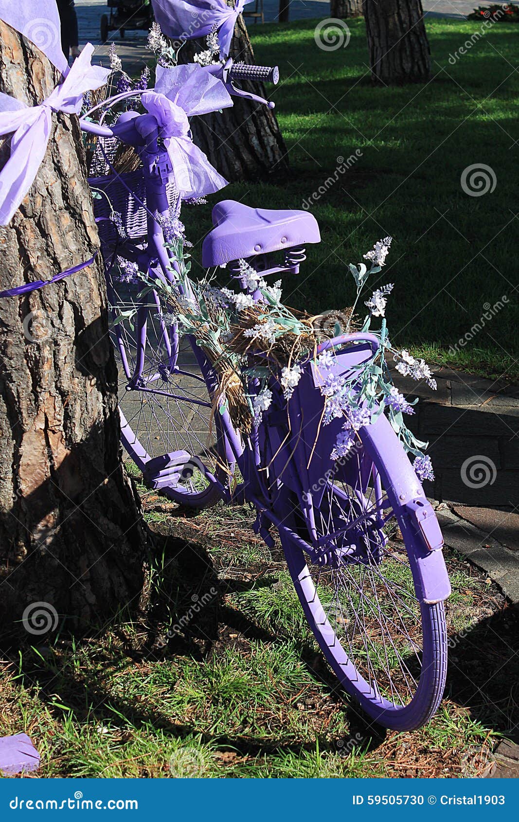 Violet bicycle stock photo. Image of lifestyle, healthy - 59505730