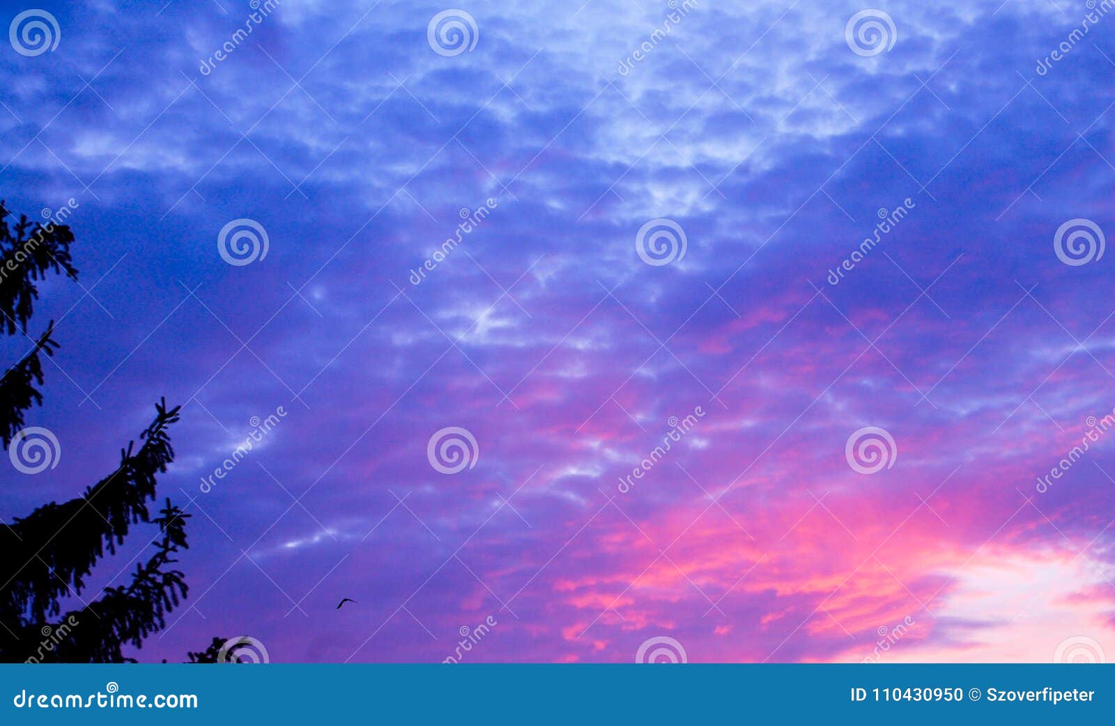 Violet and Blue Clouds in the Morning Sky Stock Photo - Image of clouds ...