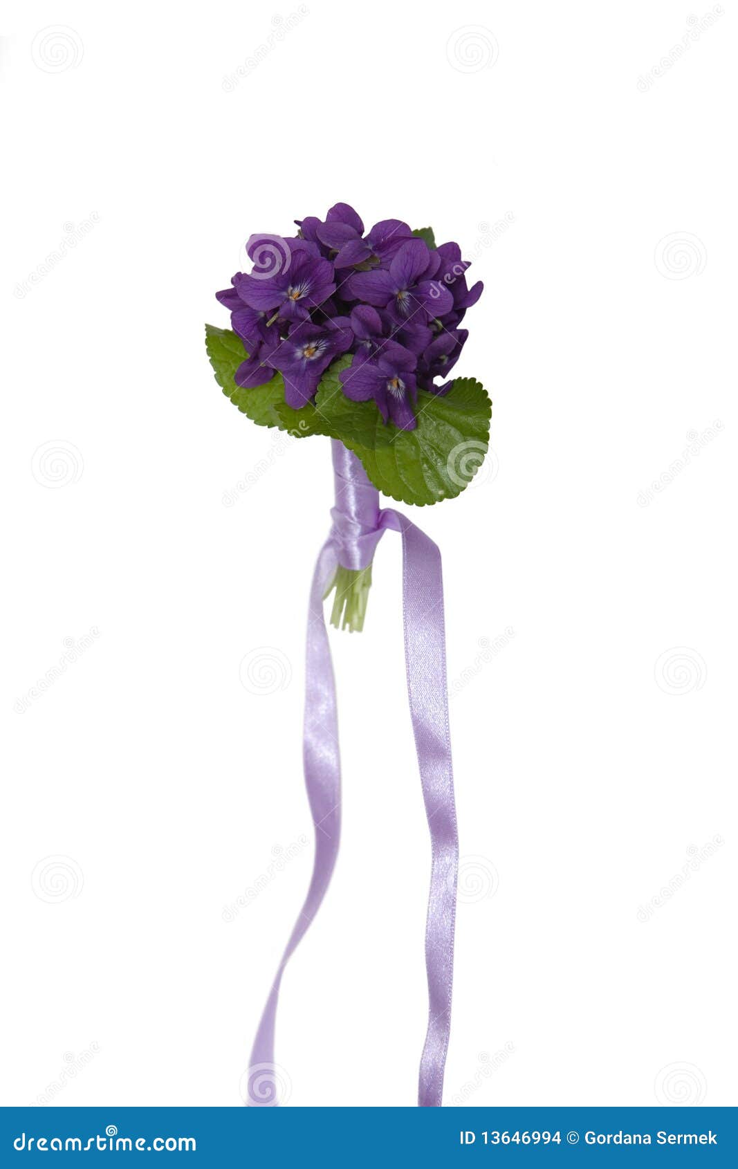 Violet bouquet stock photo. Image of petal, flower, purple - 13646994