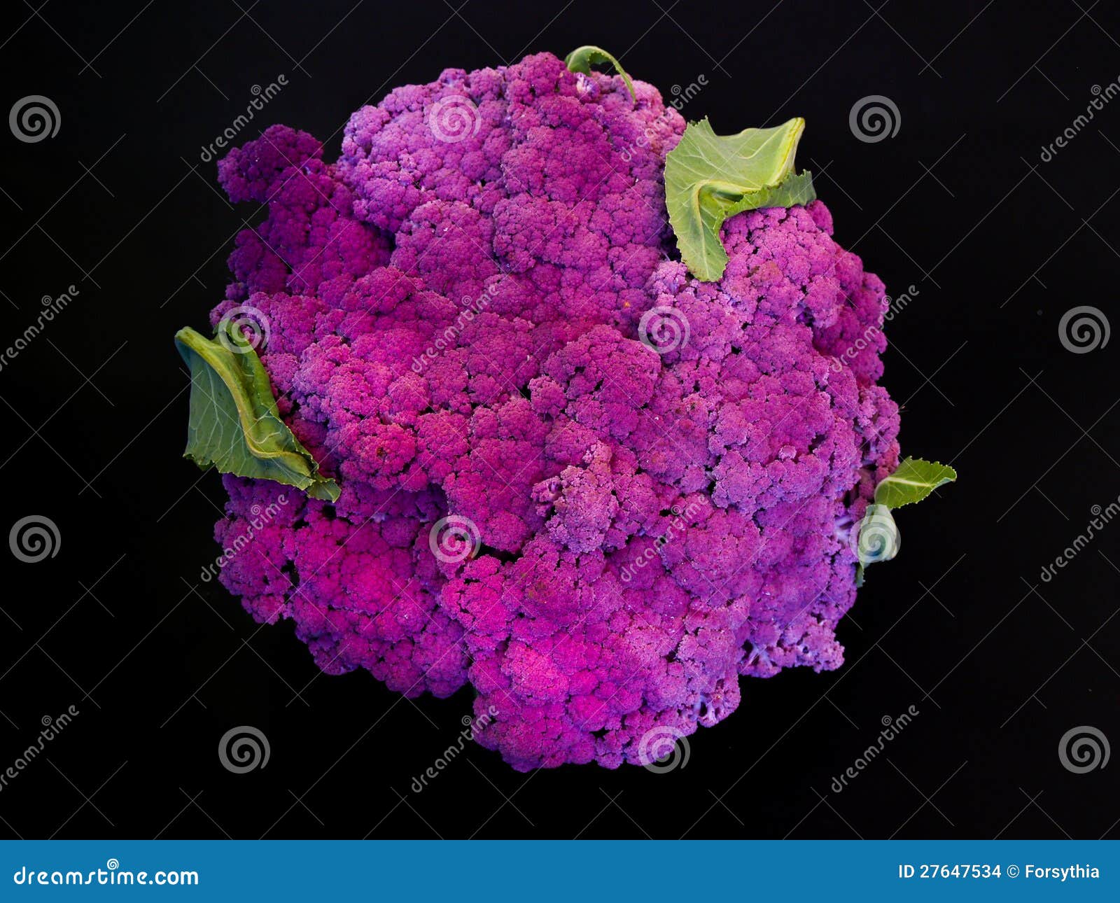 Violet cauliflower stock photo. Image of color, cauliflower - 27647534