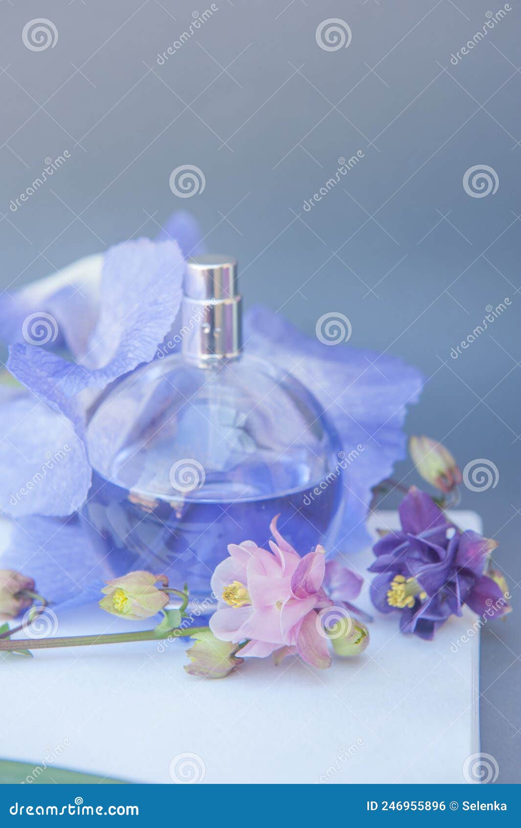 Violet Circle Perfume Bottle on Gray Backdrop Stock Photo - Image of ...