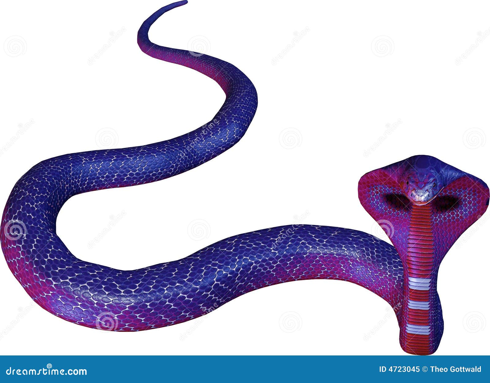 Cobra Cartoons, Illustrations & Vector Stock Images - 28460 Pictures to ...