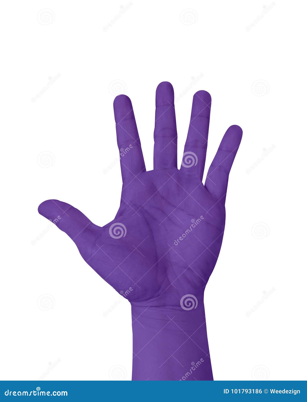 Violet Color Hand Show Five Finger Isolated On White Background, Hand ...